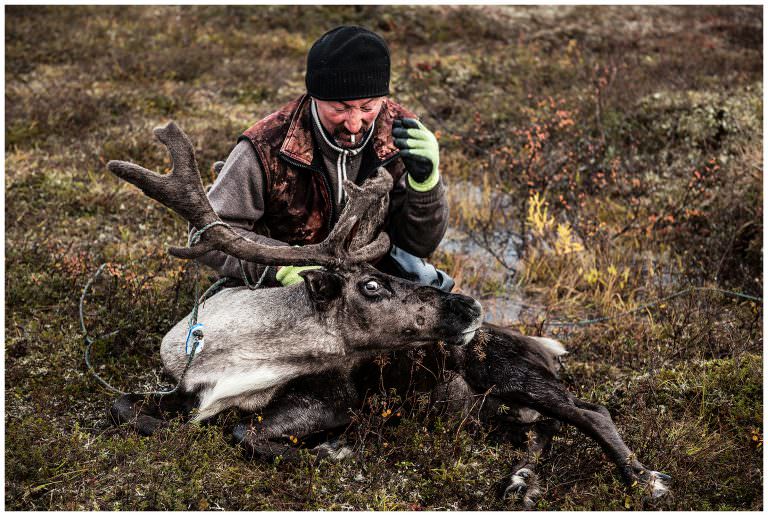 A photo-documentary story about the Komi people, who are reindeer herders in a Siberian region.